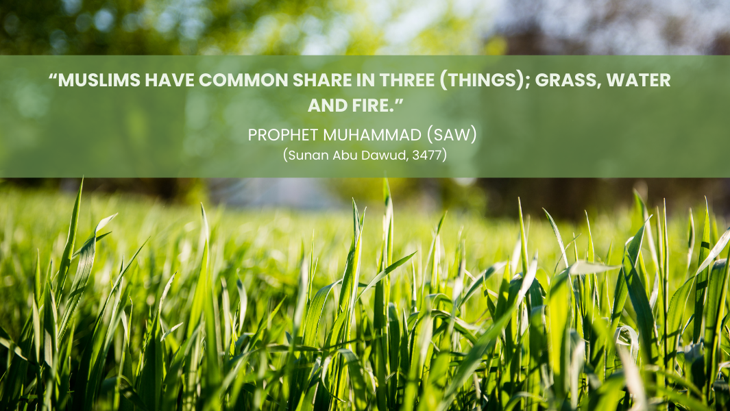 What/Who is Khalifah in Islam? — Green Islam