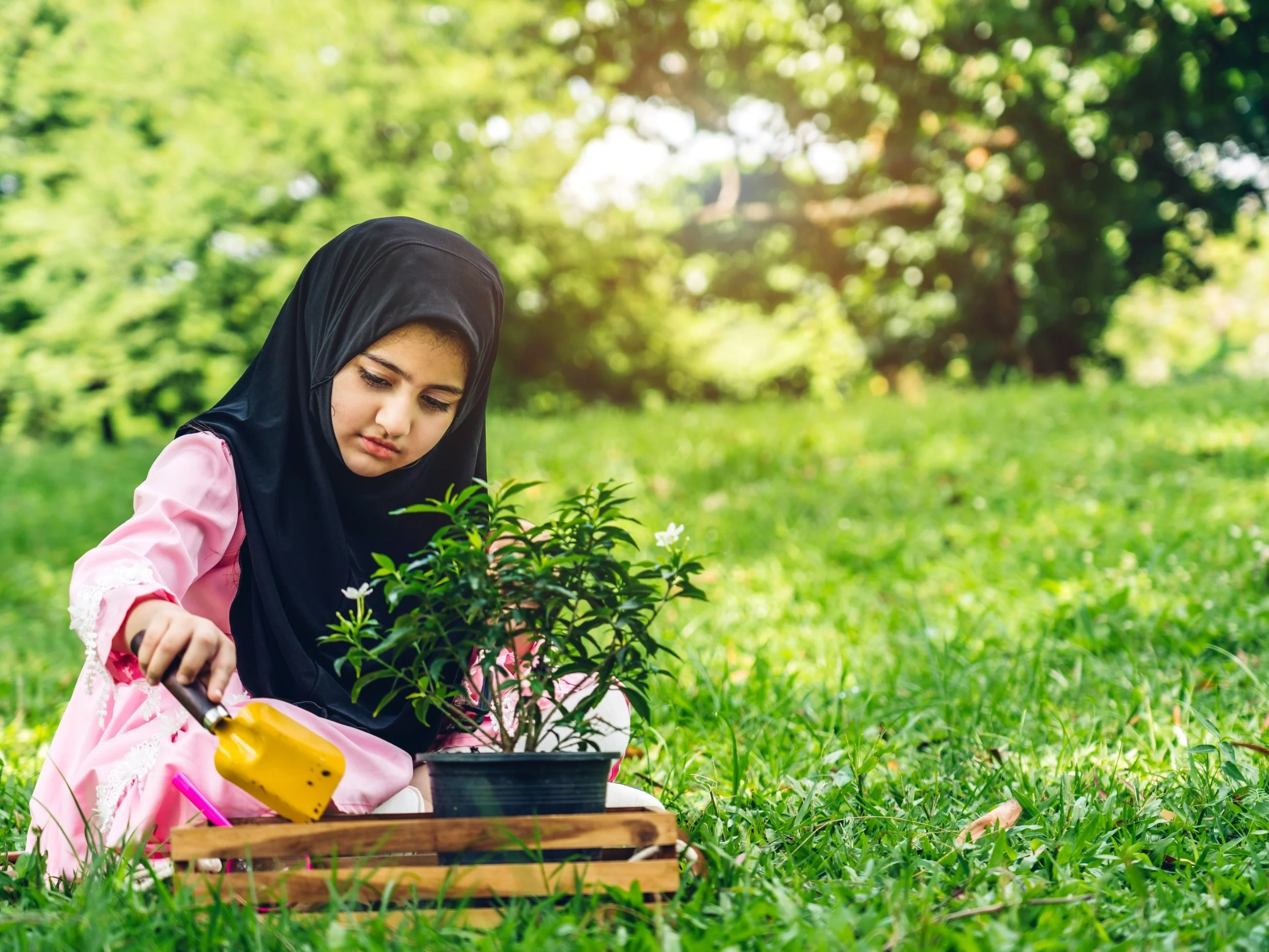 Is Environmental Protection a Duty for Muslims in Islam? — Green Islam