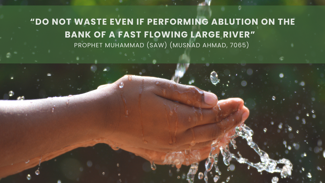 Is Environmental Protection a Duty for Muslims in Islam? — Green Islam