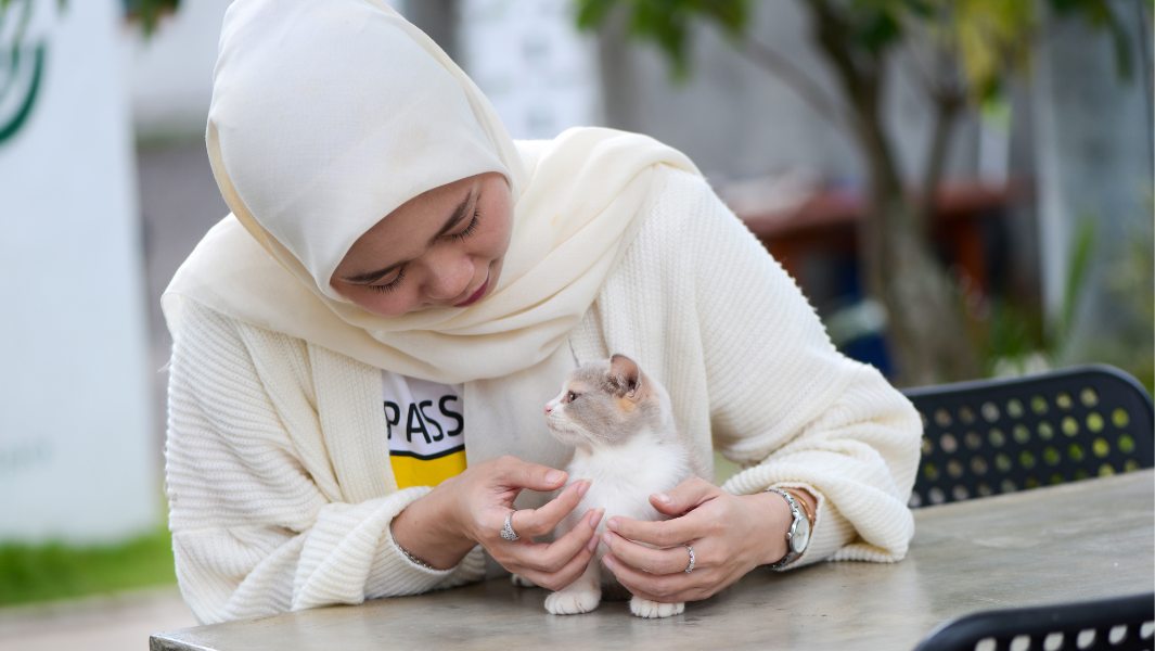 What do the Ahadith say about Animal Rights? — Green Islam