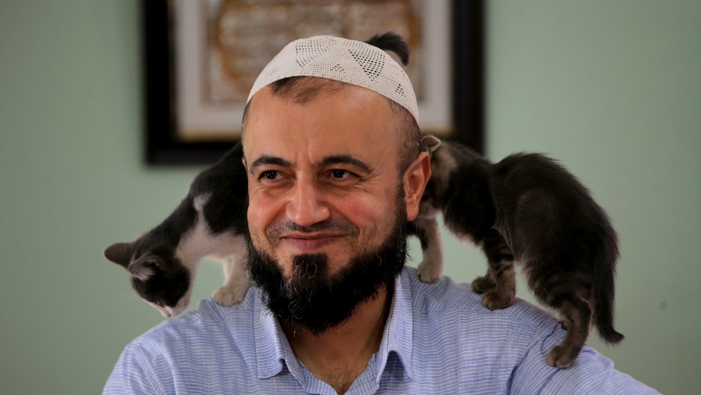 What are animal rights in Islam? — Green Islam
