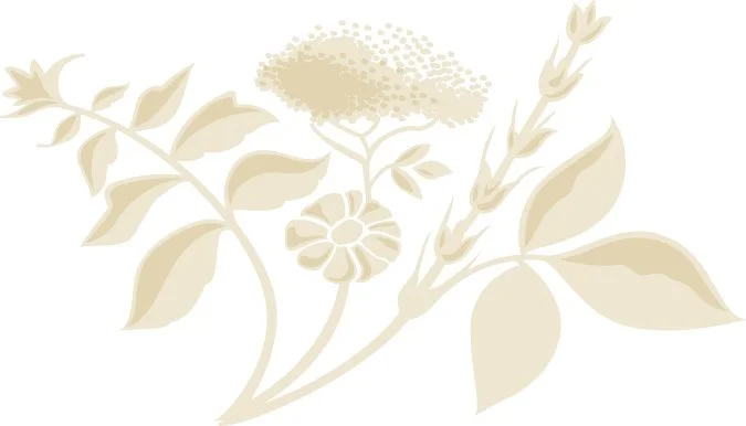 Discover Biologique Recherche | Swoon Aesthetic Spa in Wexford, PA