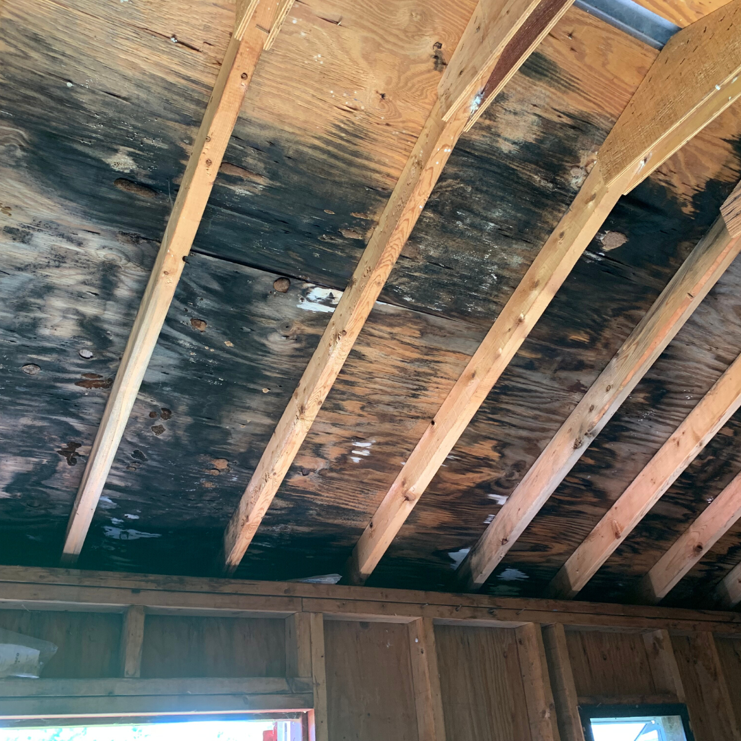 Projet Westmount — Vortex Isolation