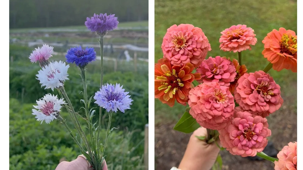 5 Ingredients for the Fail-proof Floral Arrangement — Aurora Flora