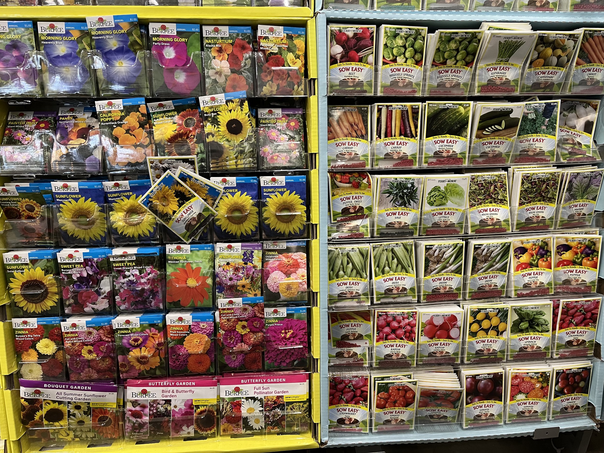 My Favorite Cut Flower Seed Sources for the Home Gardener — Aurora Flora