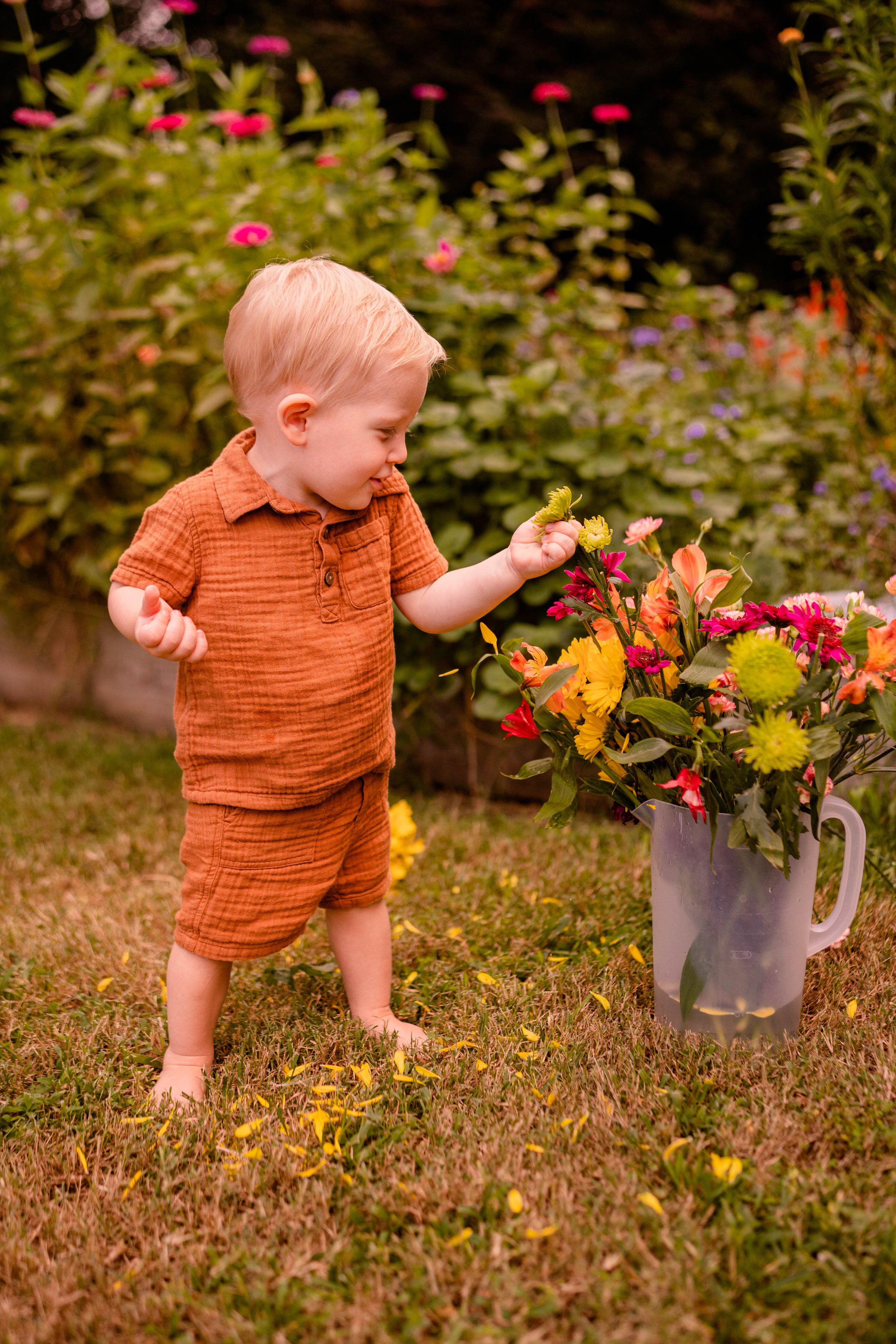 Our Mission — Aurora Flora