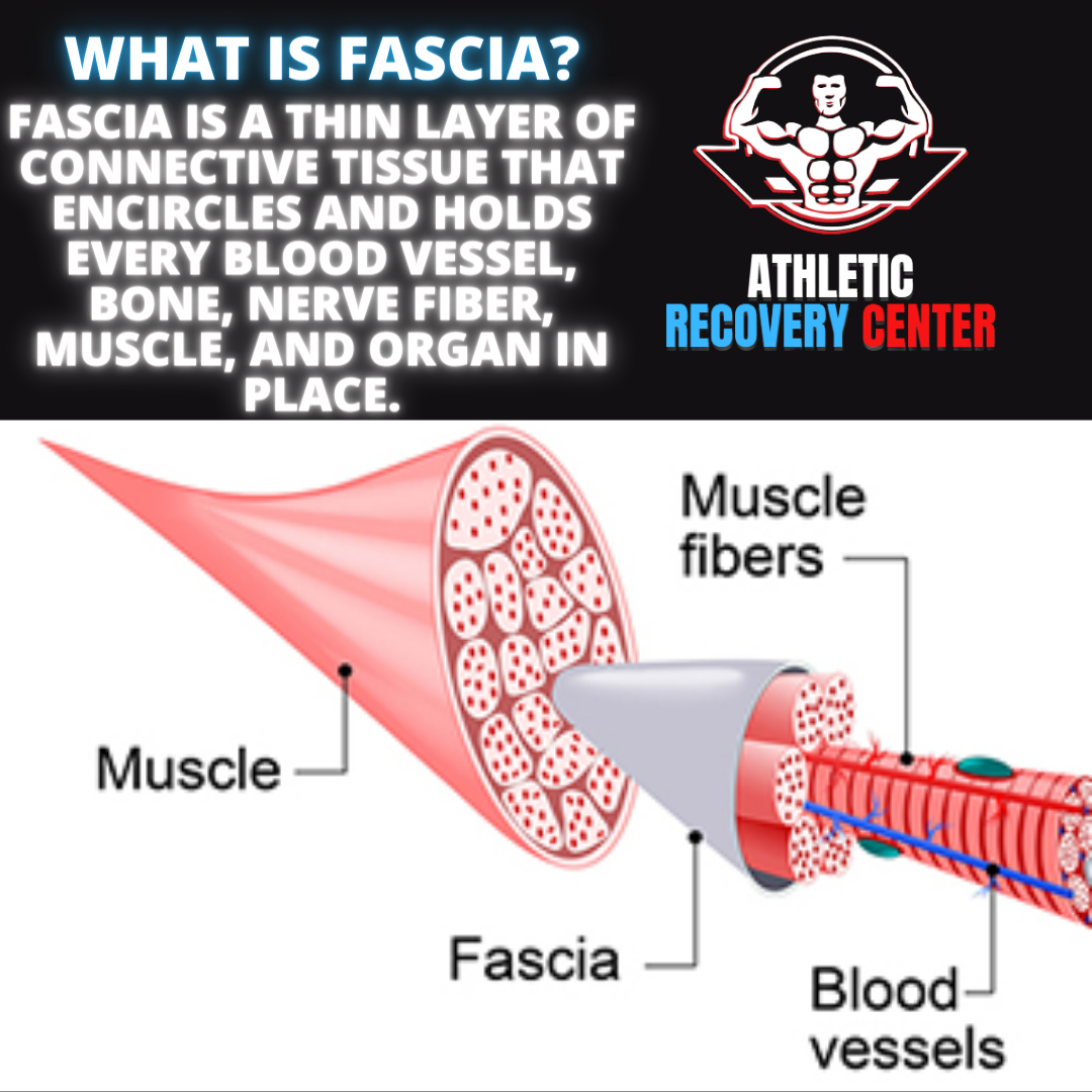 Stretch Therapy — The Athletic Recovery Center