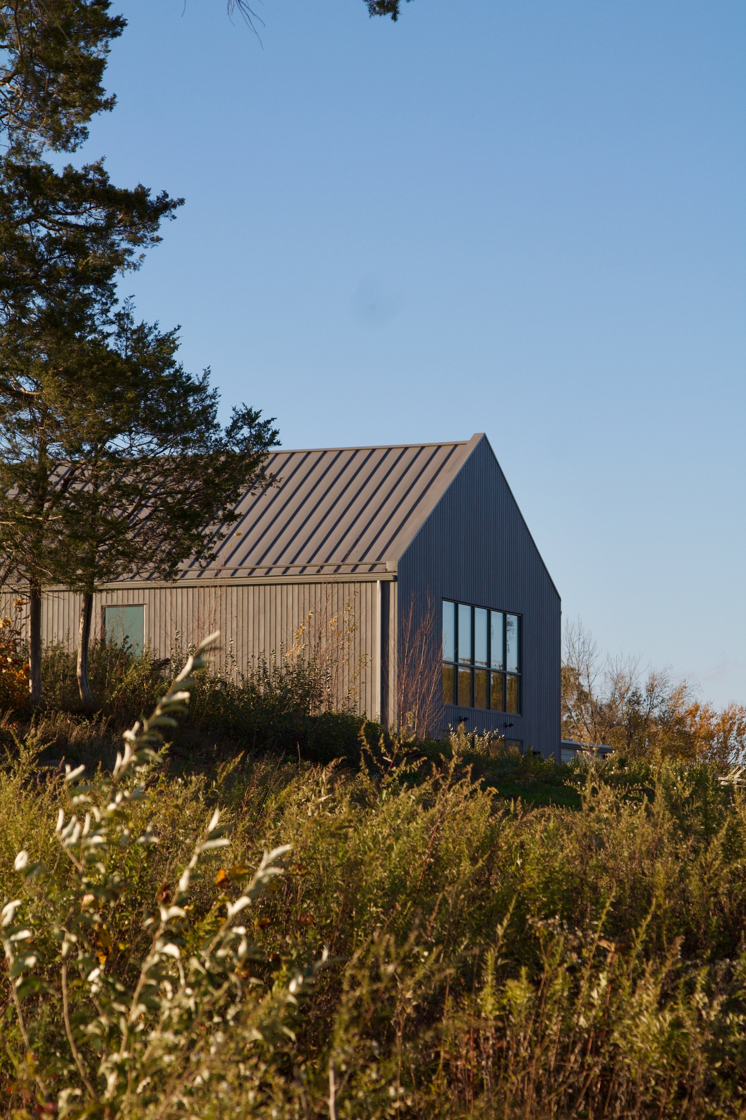 About Kingdom of the Hawk — Kingdom of the Hawk