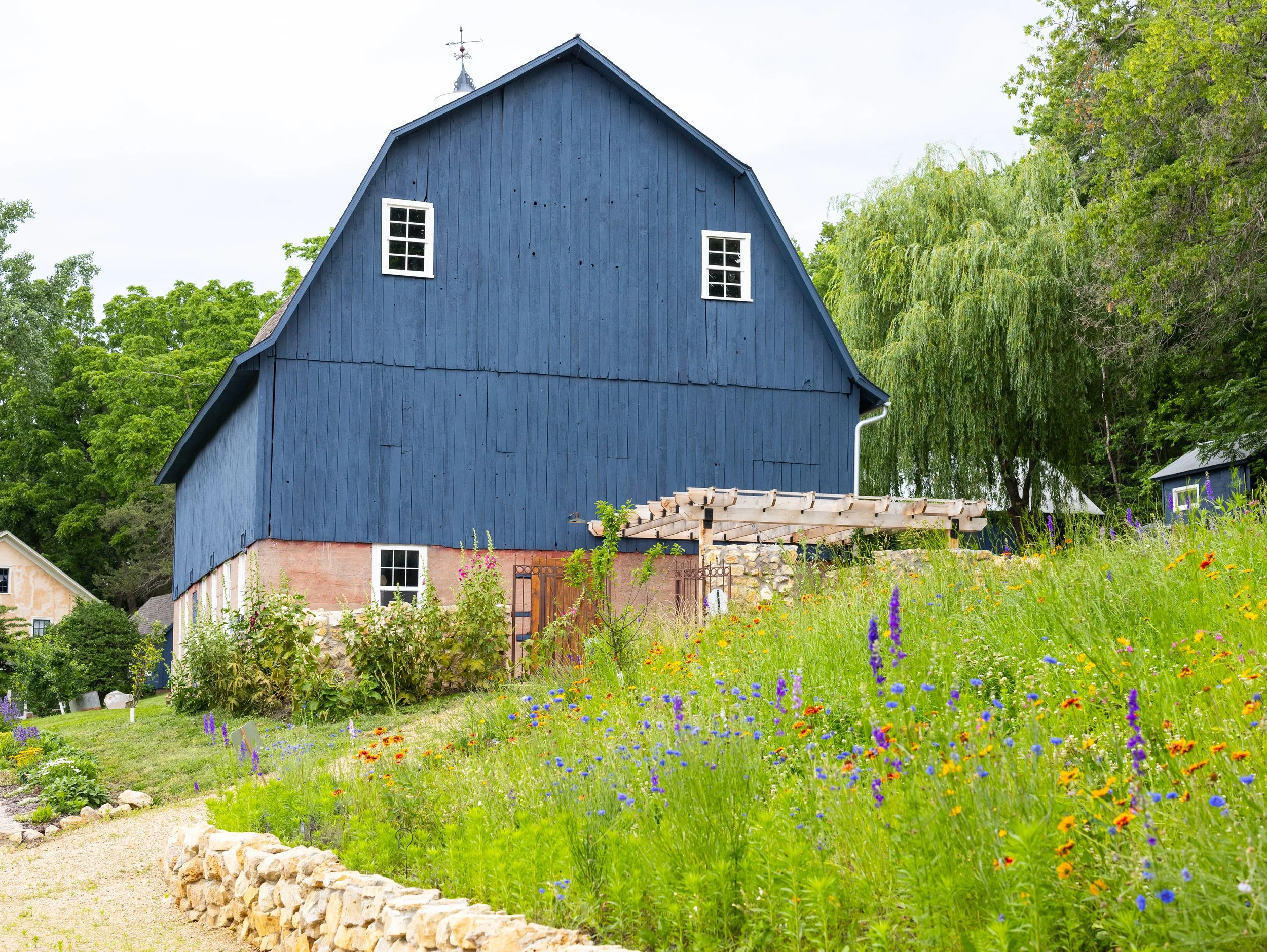 Lavender Bluff Farm