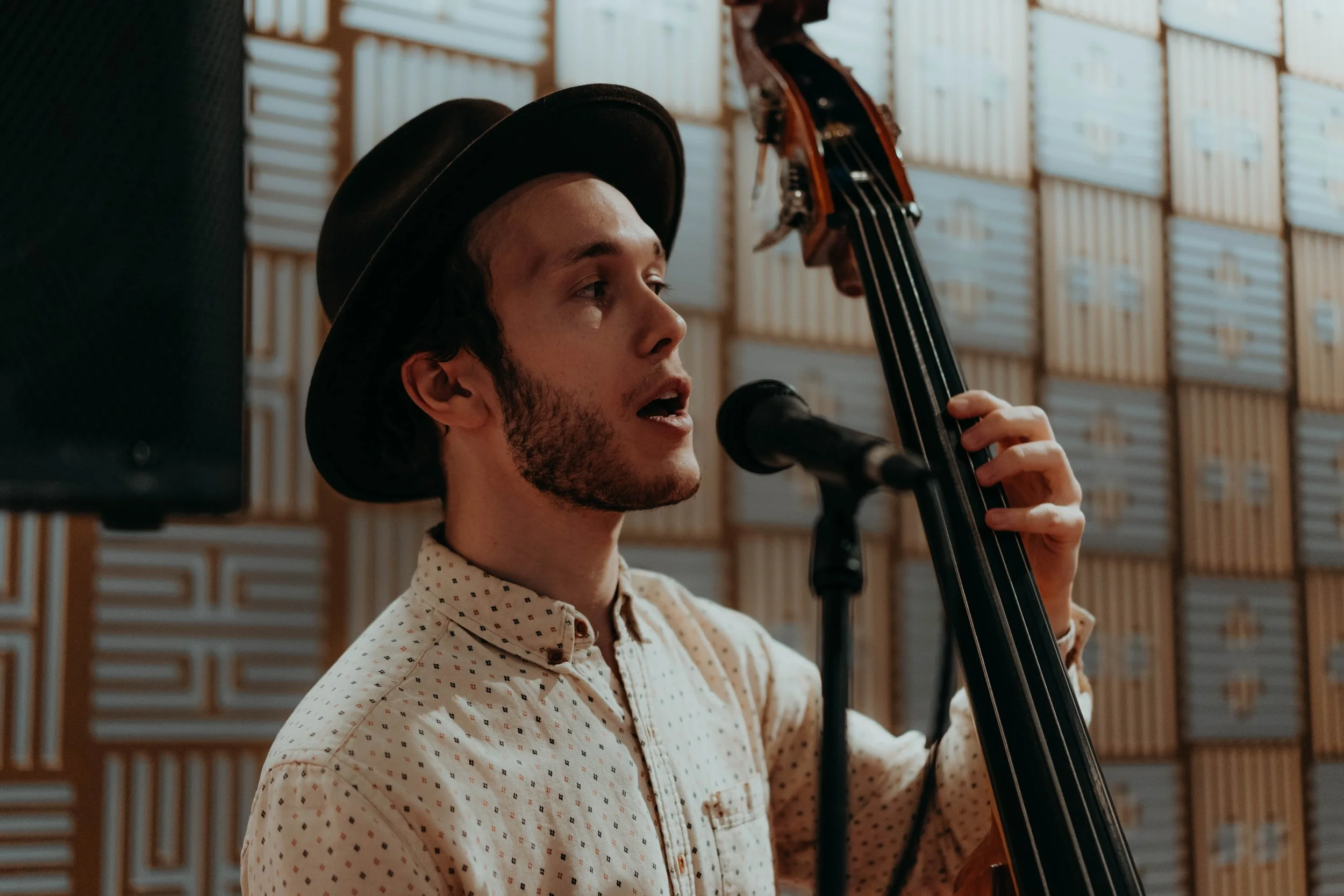 Music — Max Liebman