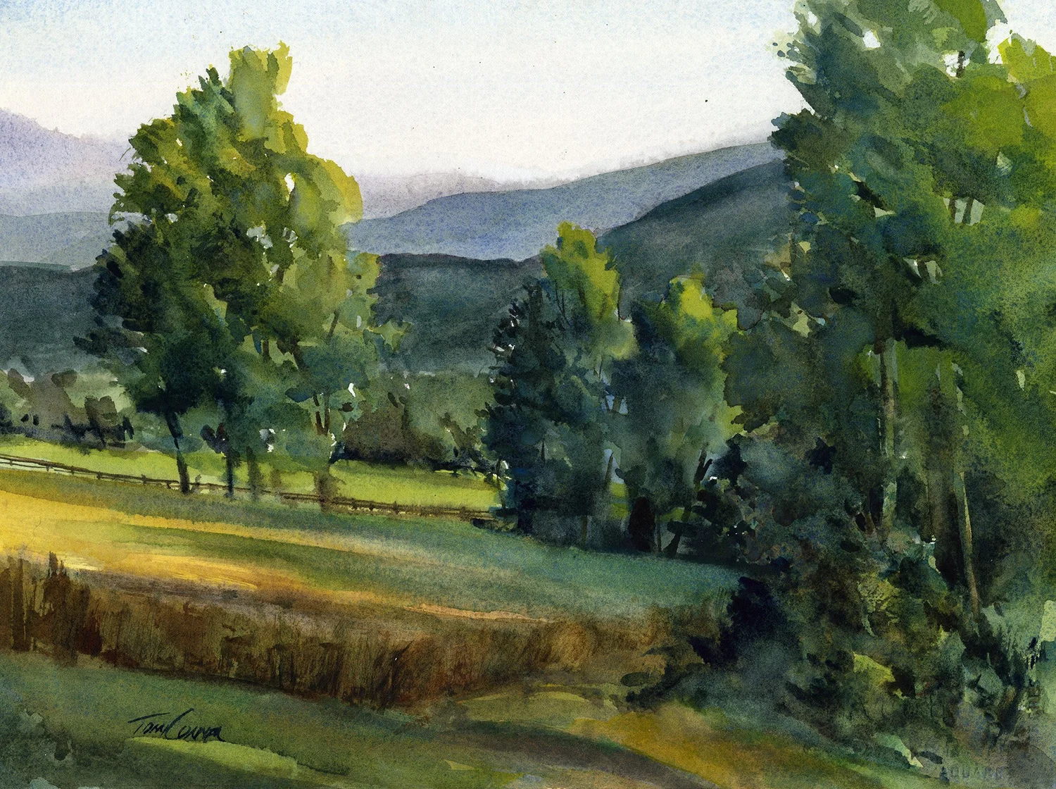 Website of Vermont Artist Tony Conner