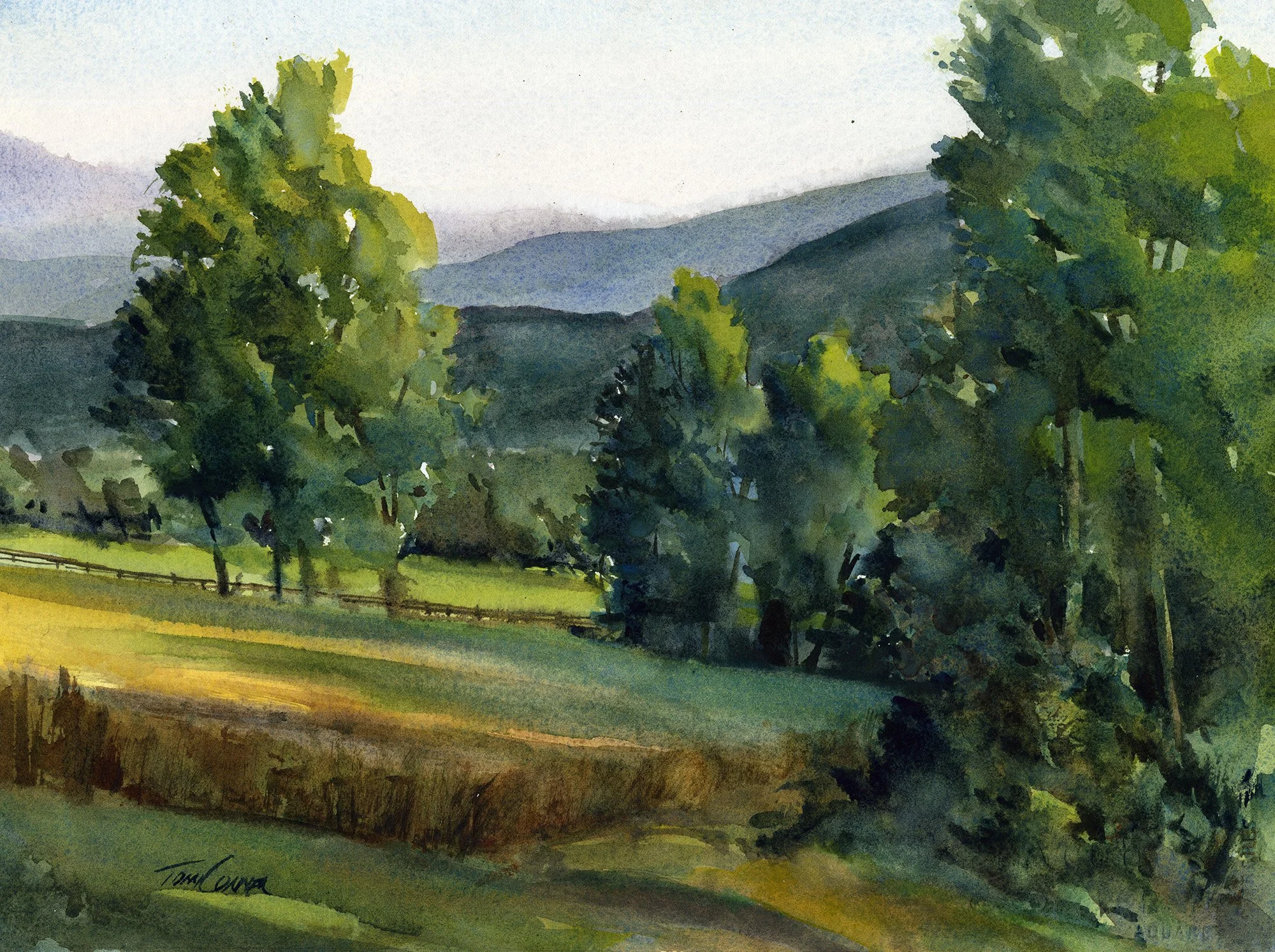 Website of Vermont Artist Tony Conner