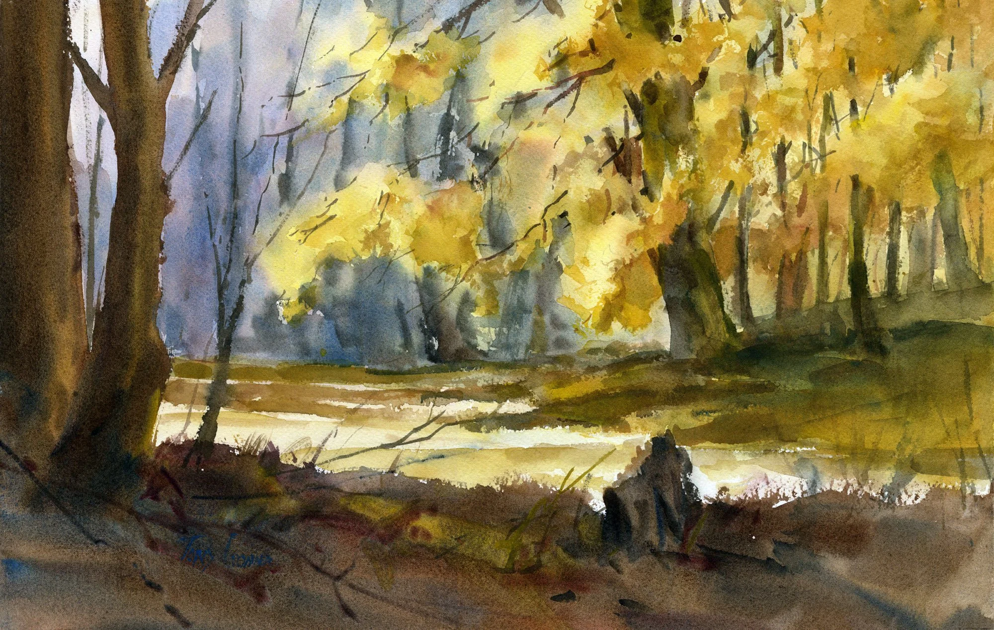 Website of Vermont Artist Tony Conner