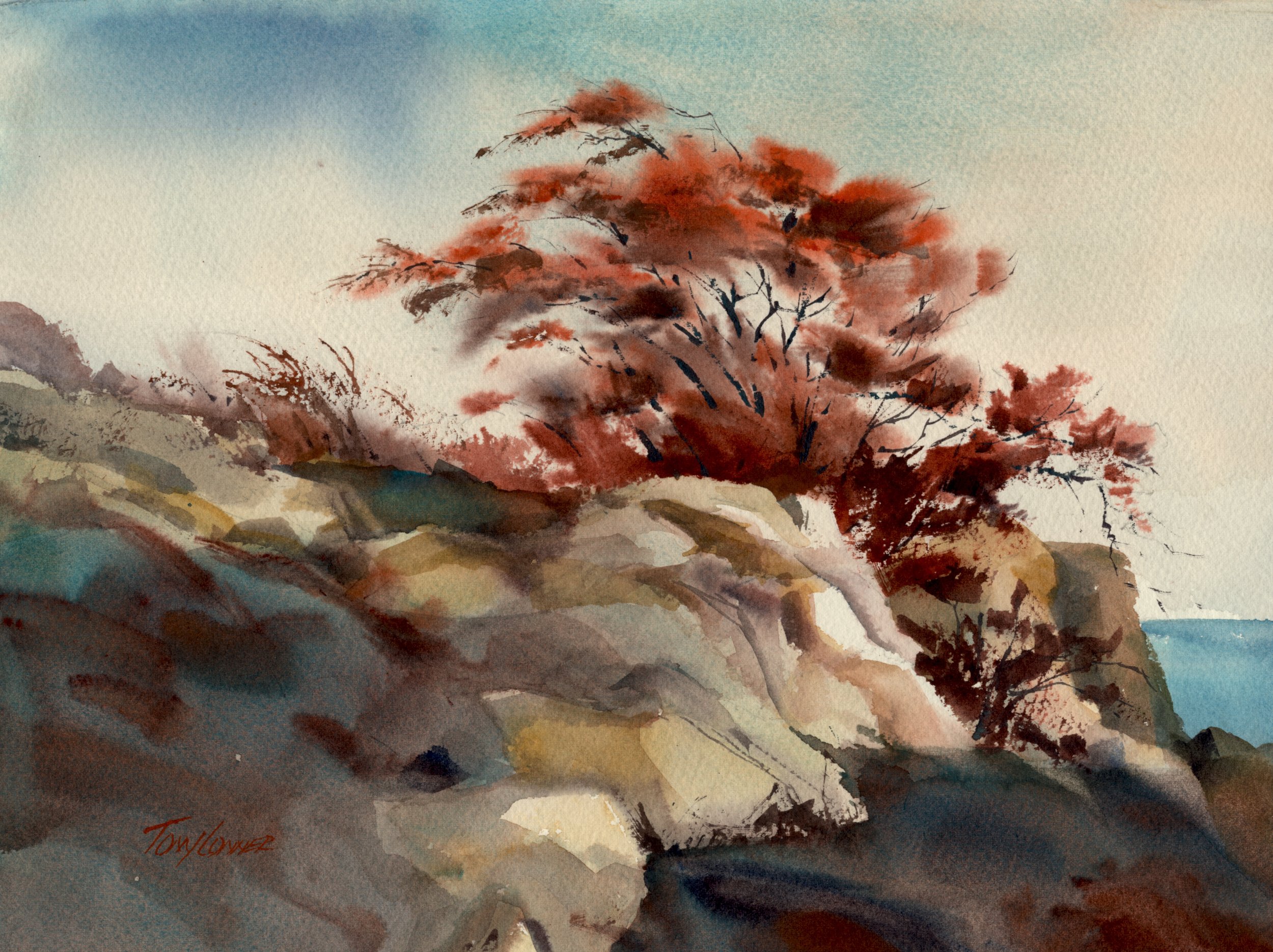 Website of Vermont Artist Tony Conner