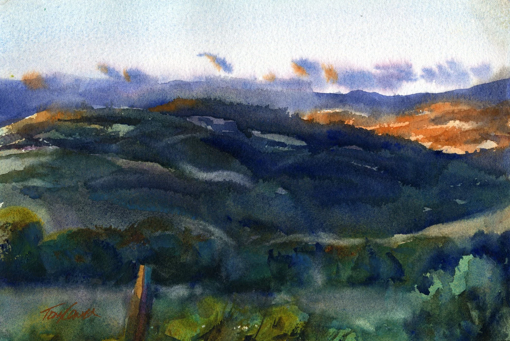 Website of Vermont Artist Tony Conner