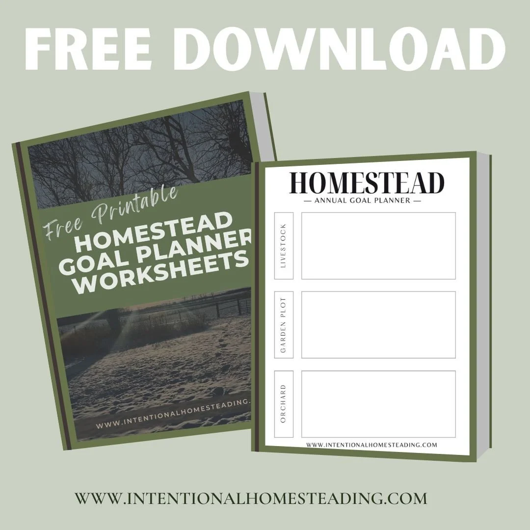 Homestead Annual Goal Planner Worksheet — Intentional Homesteading