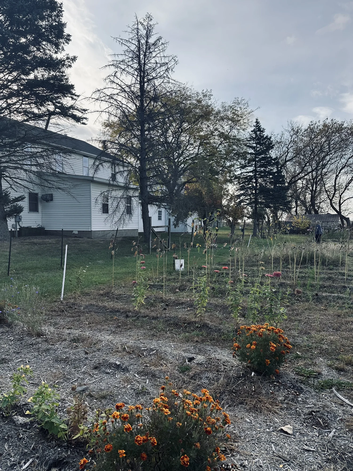 Tour Our New 10 Acre Family Homestead in Michigan — Intentional ...