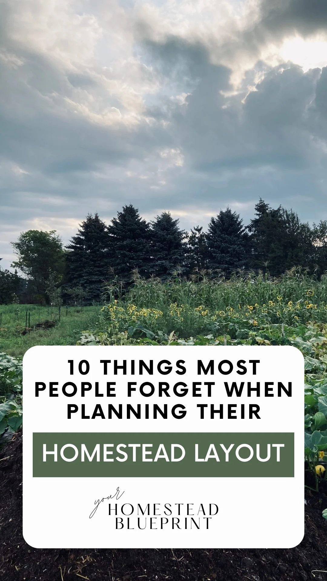 Homestead Layout — Intentional Homesteading