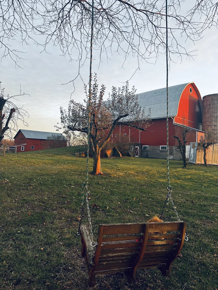 Tour Our New 10 Acre Family Homestead in Michigan — Intentional ...