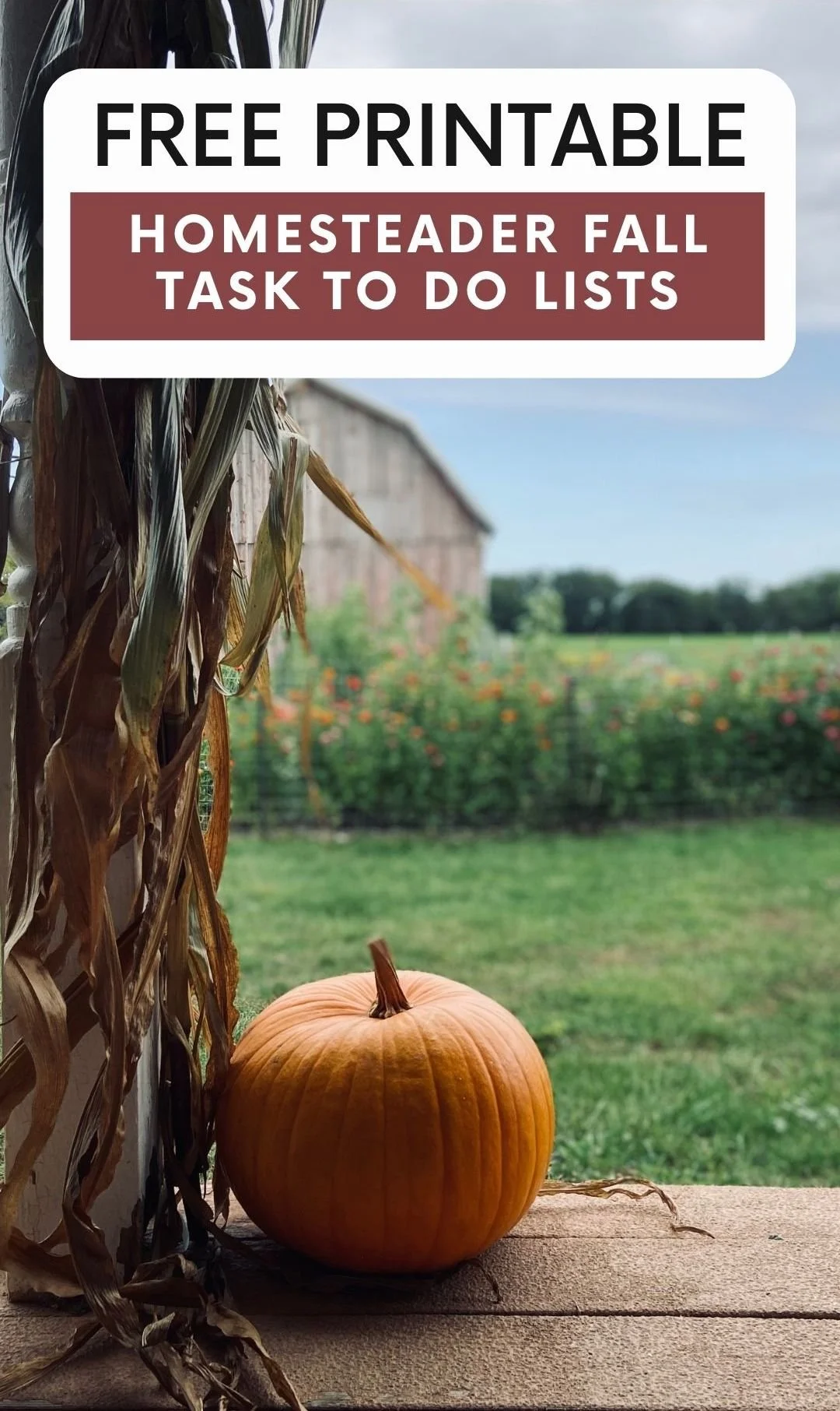 Homestead Fall To Do's — Intentional Homesteading