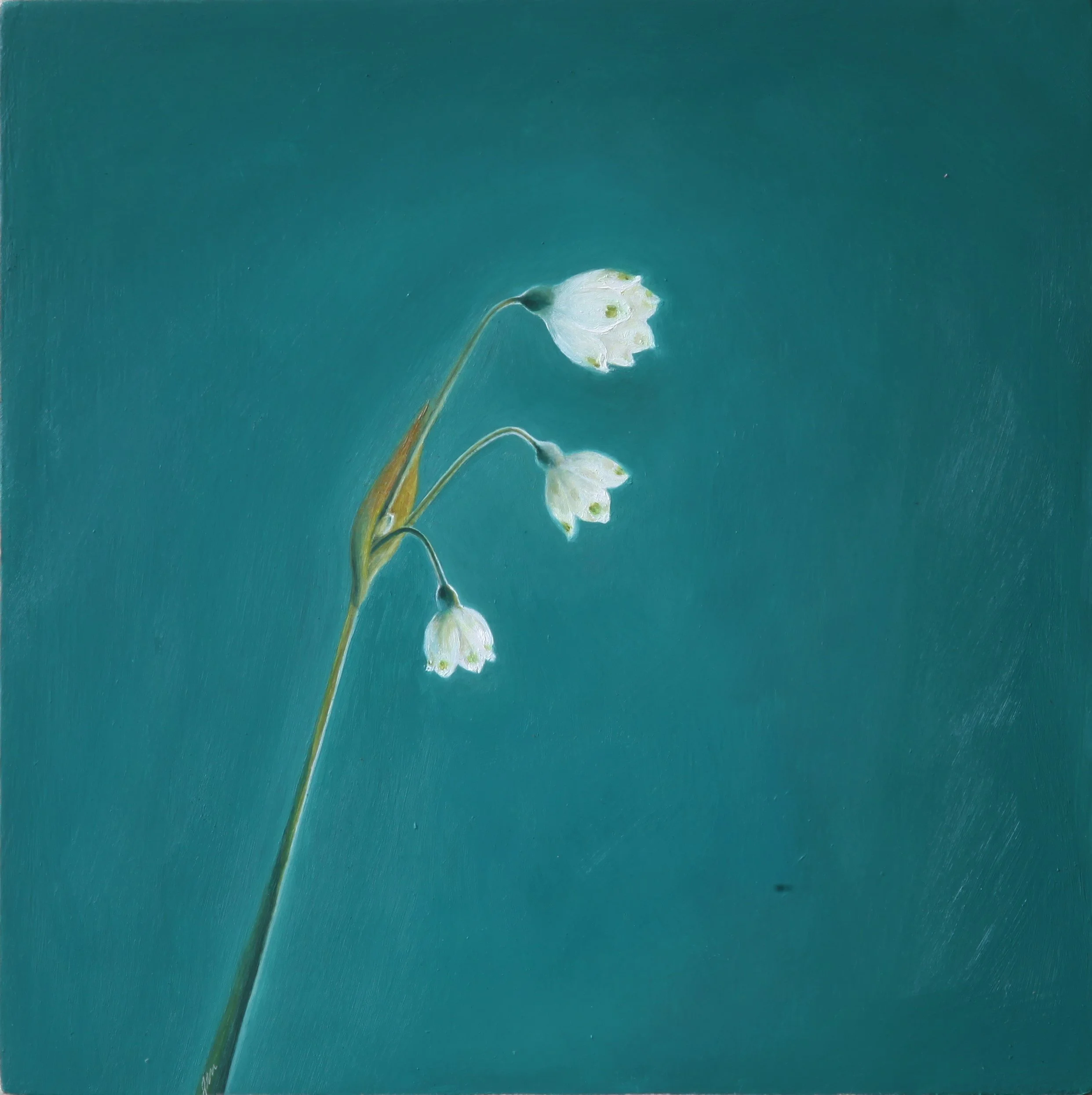 Exhibition History — Jennifer Mullen