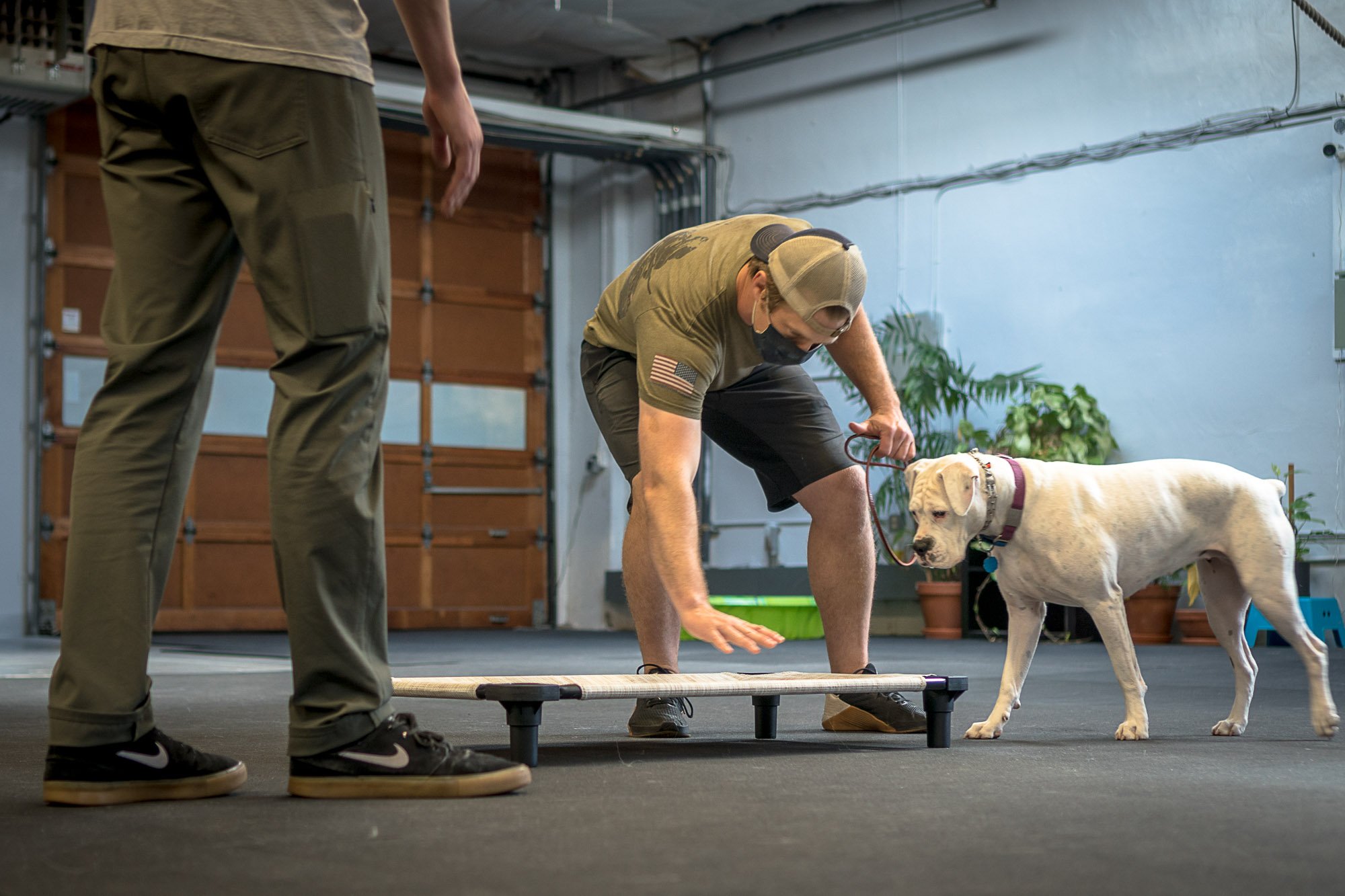 Dog Training Portland Kindred Dog PDX