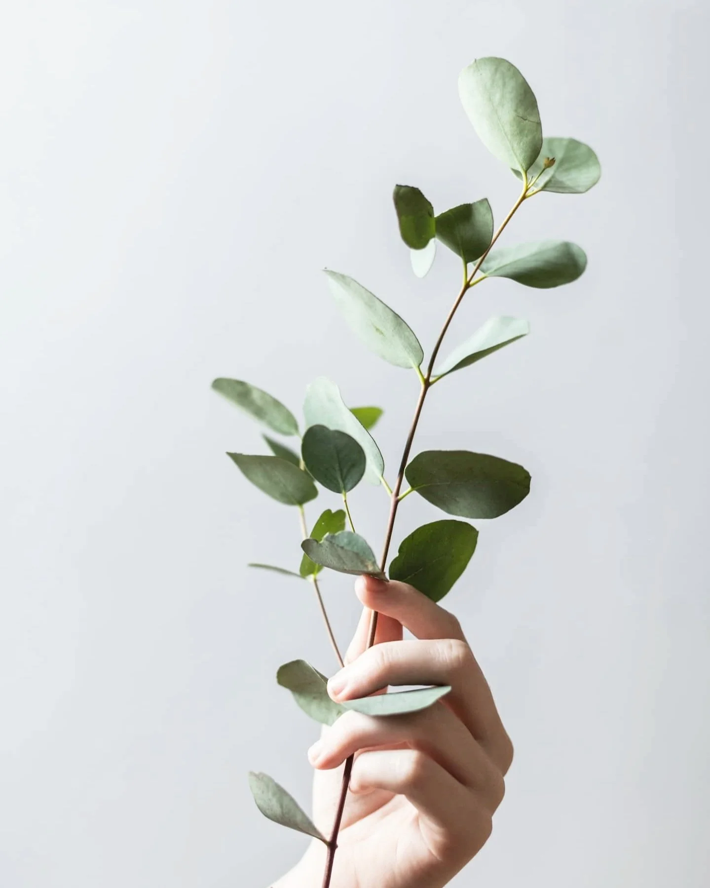 What is Holistic Wellness? A Complete Guide | bloem