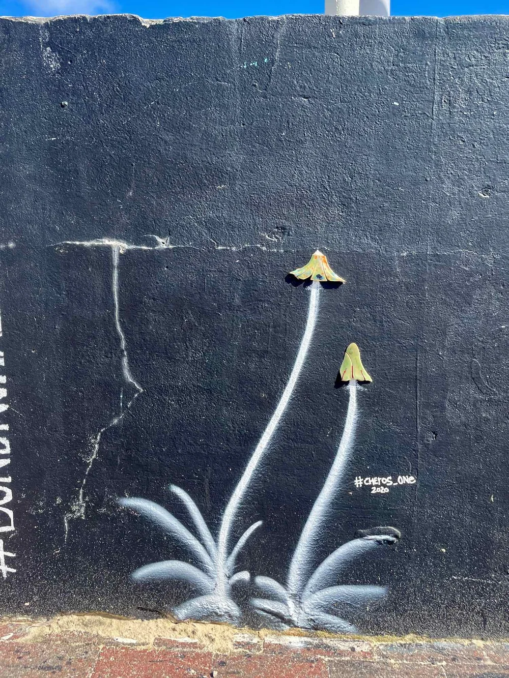 Street Ceramicist #Cheros_One — BONDI OBSERVER