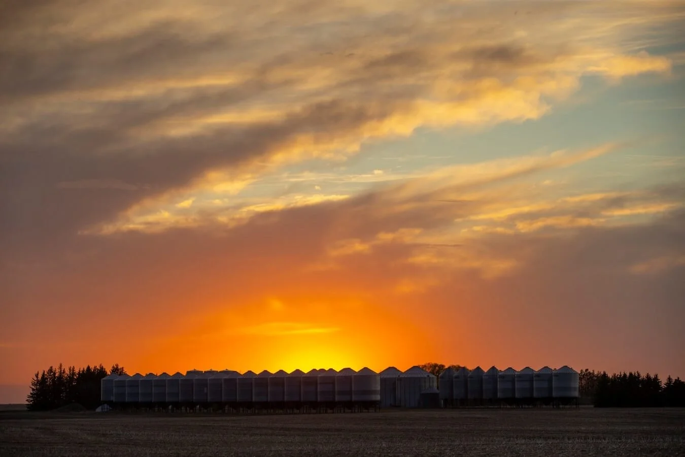 Current Job Postings — Delage Farms