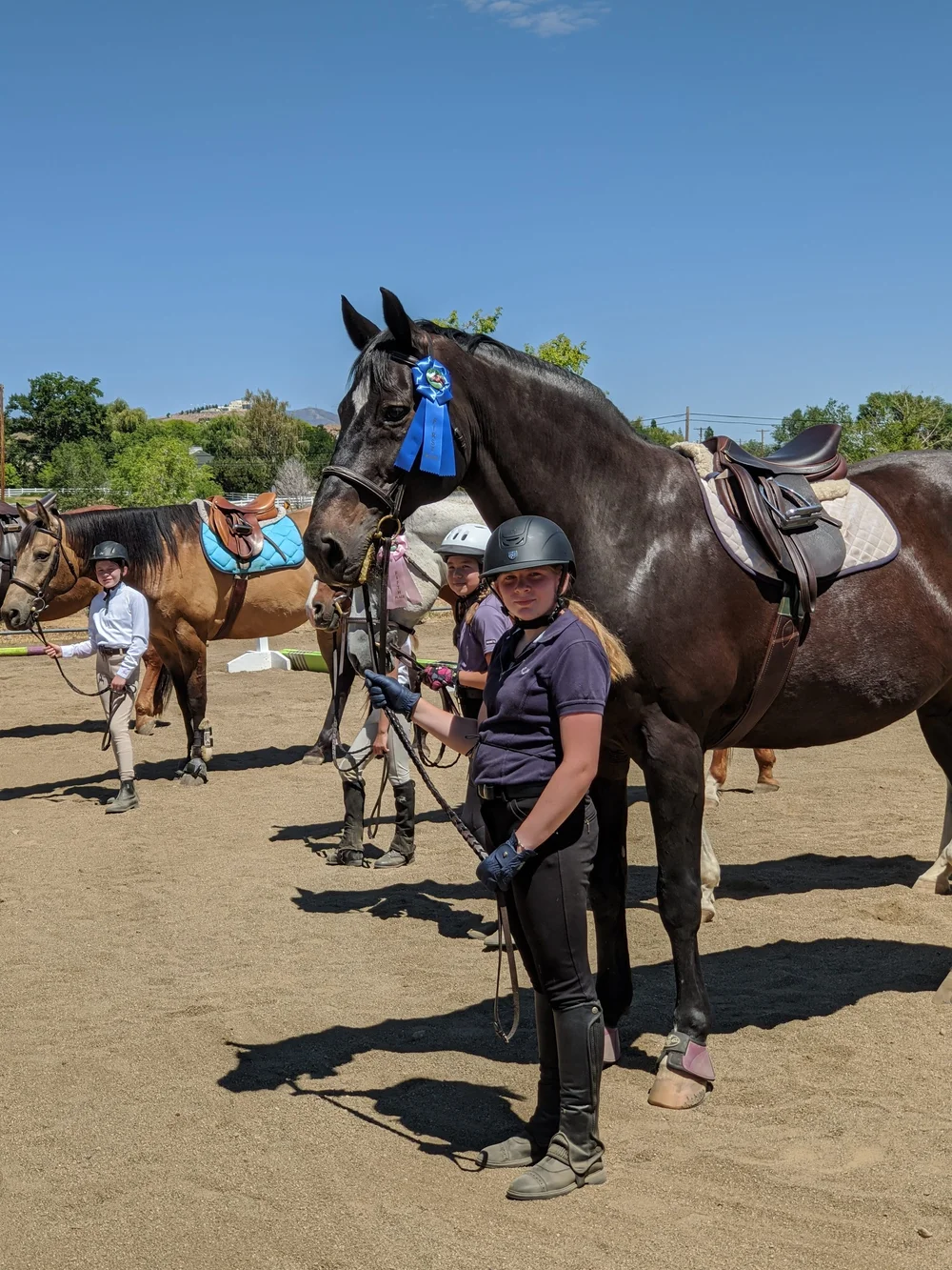 Horsemanship Academy — Pair Of Aces Stables