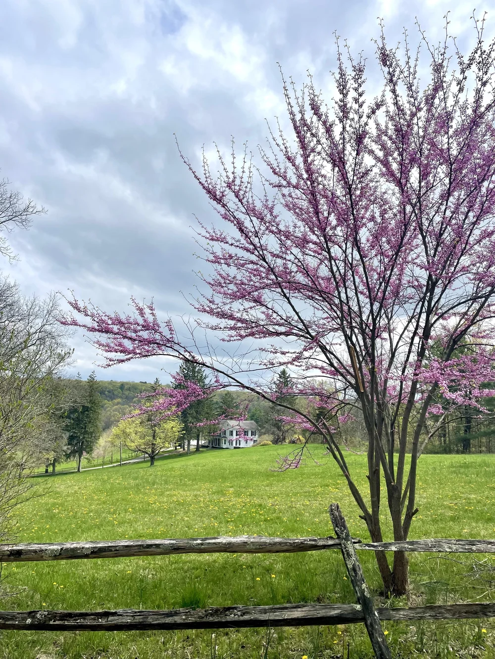 Applications for 2026 | Matthew Strother