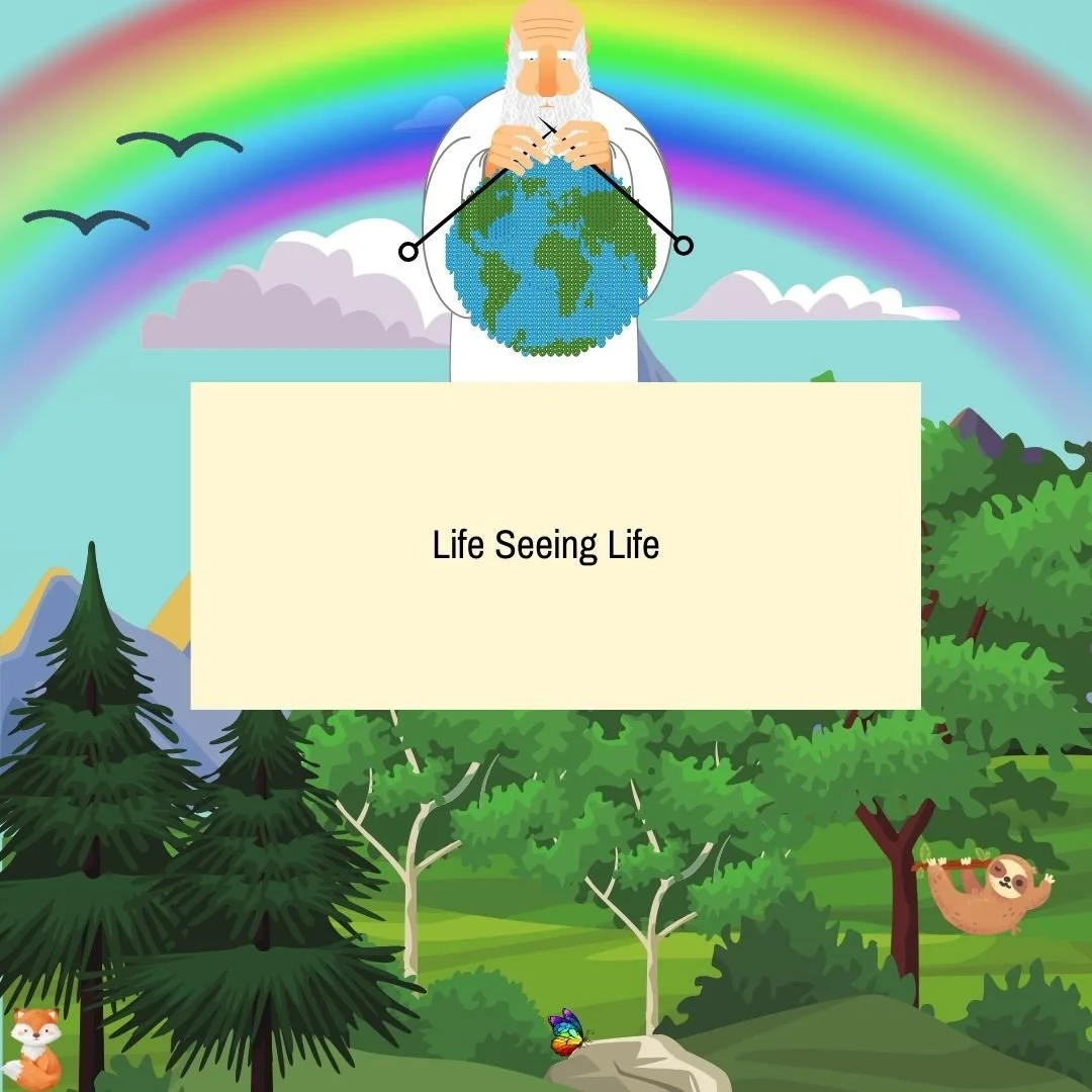 Life Seeing Life — PonderKnowledge