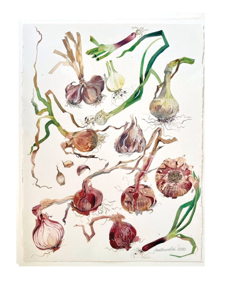 Archive Paintings — Matthew Rice