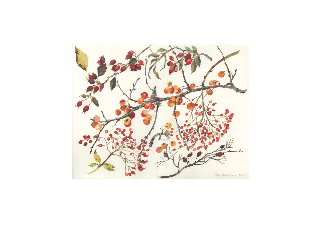 Store 2 — Matthew Rice