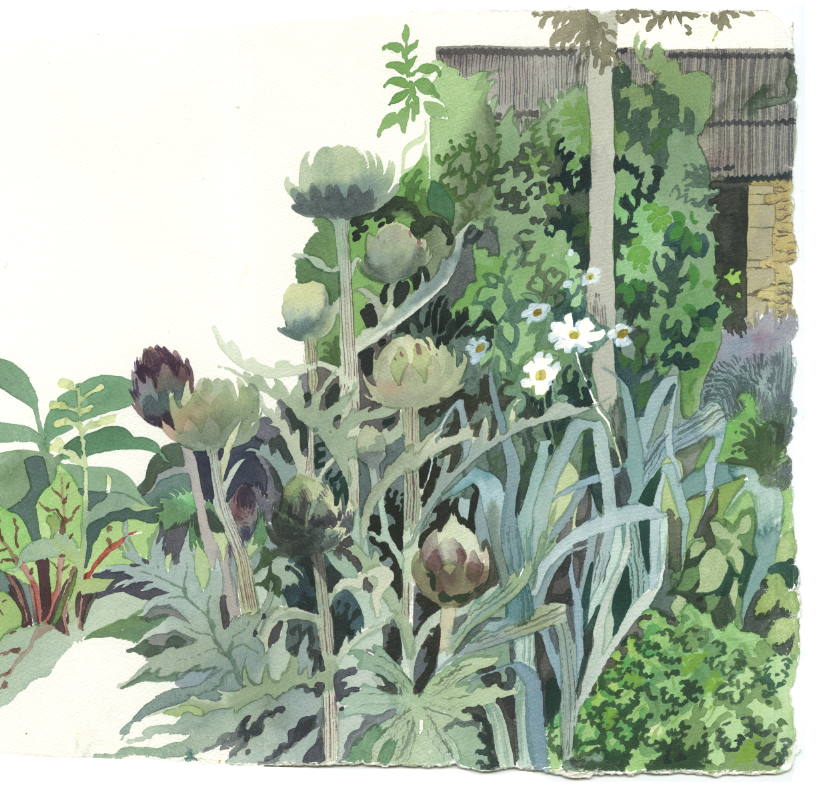 Store 2 — Matthew Rice