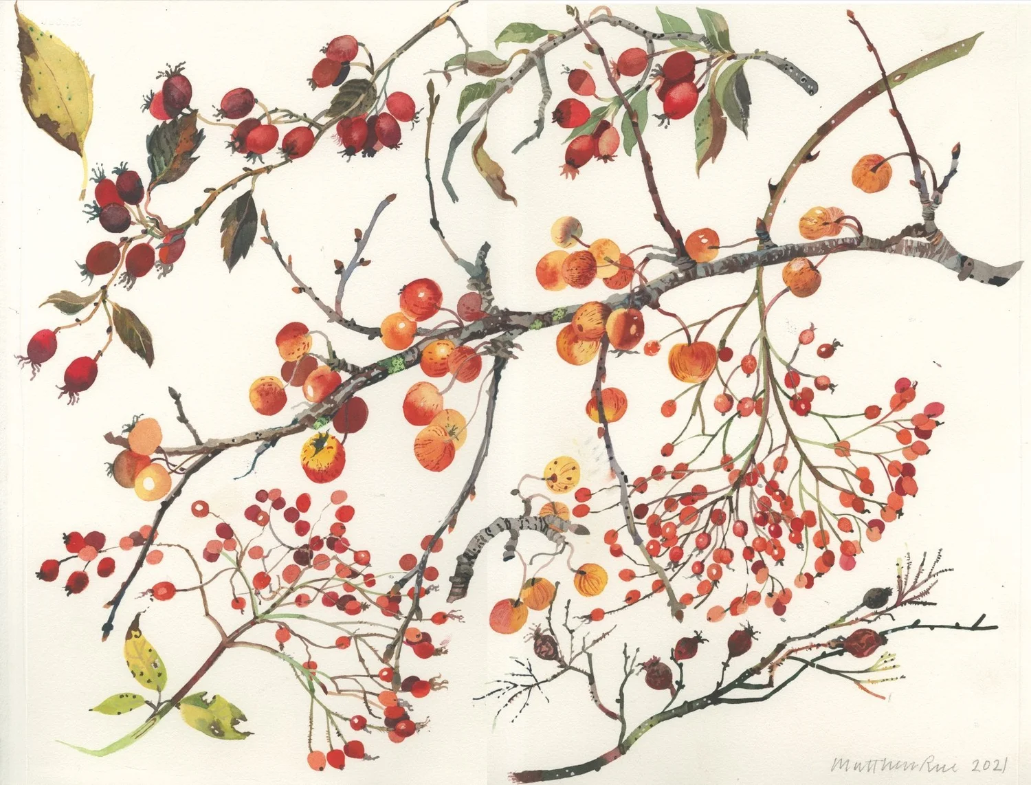 Archive Paintings — Matthew Rice