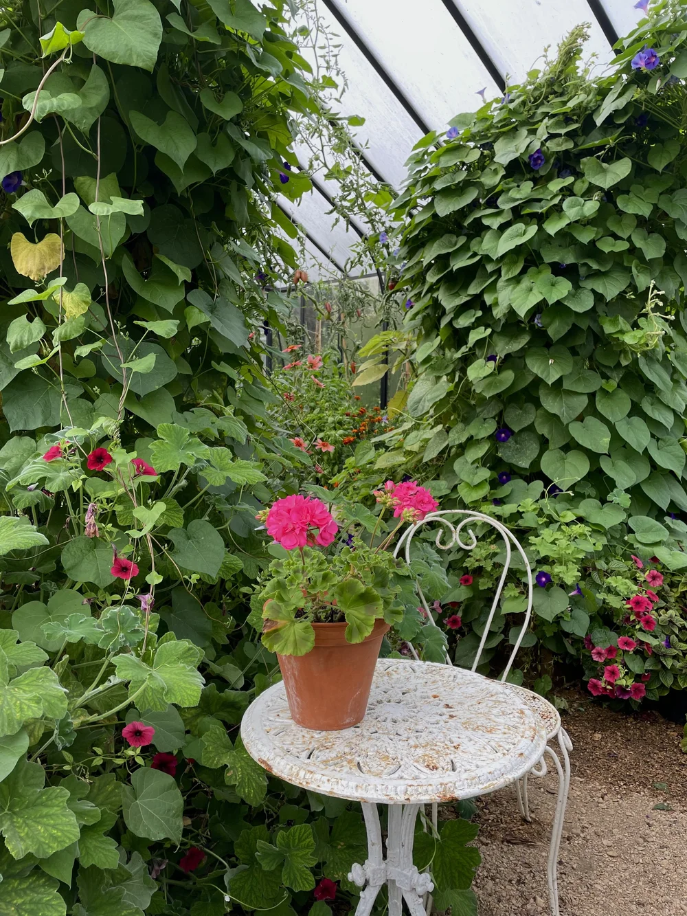 Contact Us — Matthew Rice