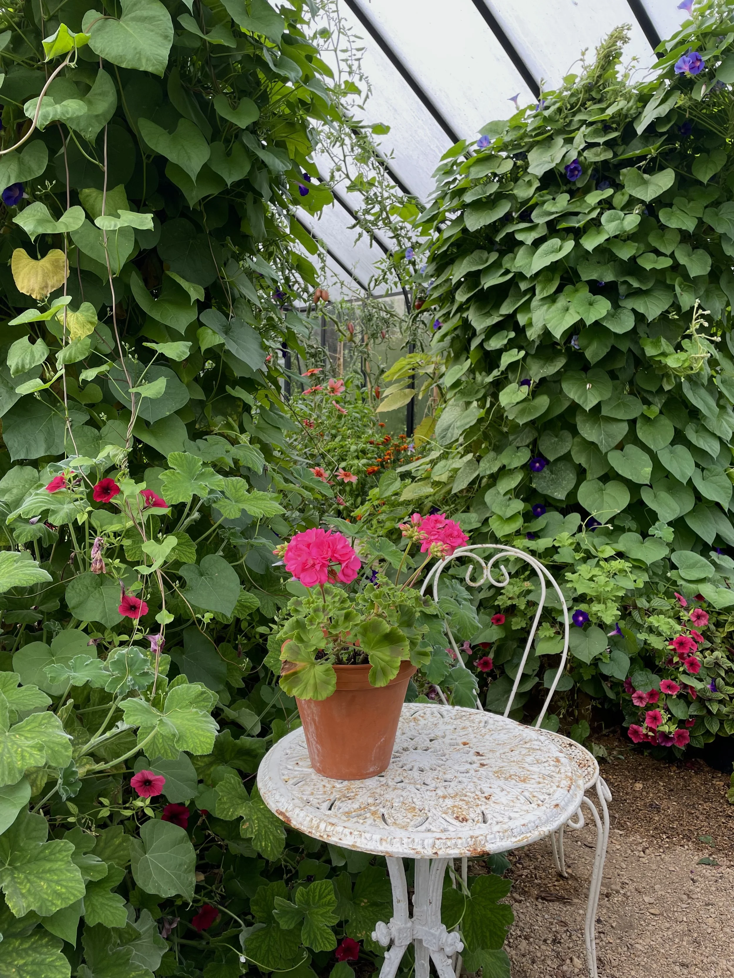 Contact Us — Matthew Rice