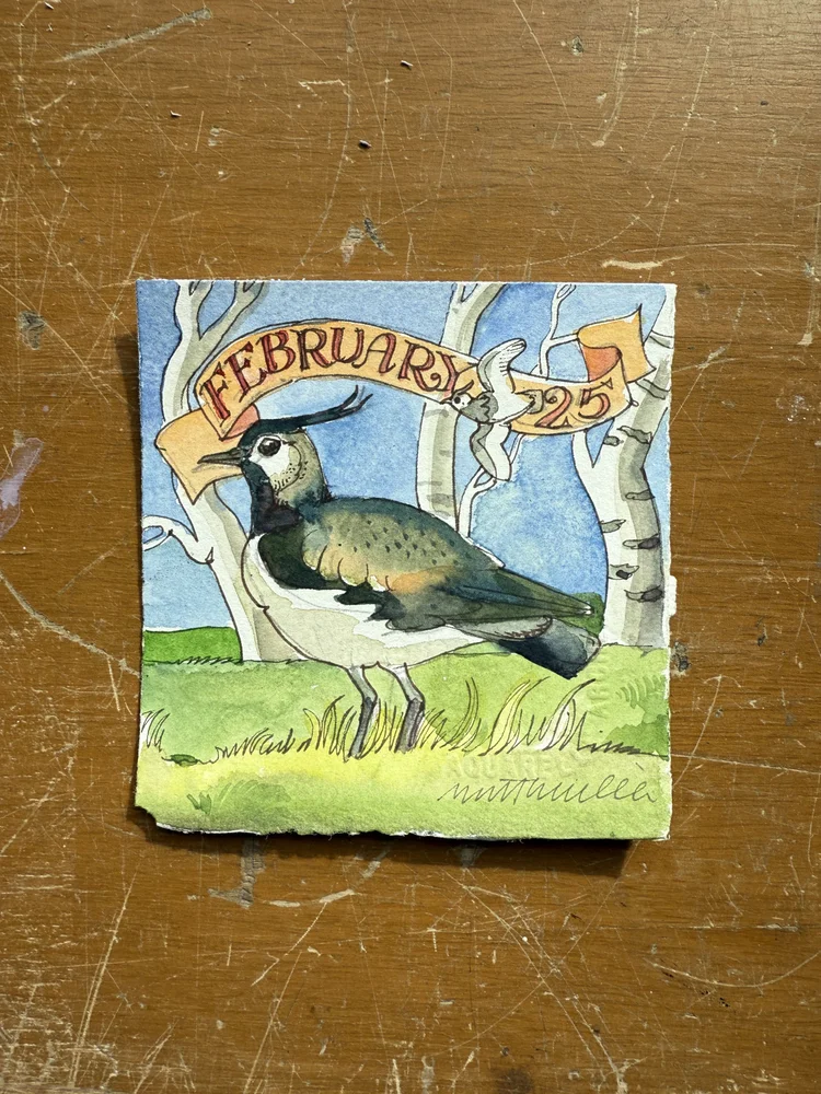 Daily Cards 2024 — Matthew Rice