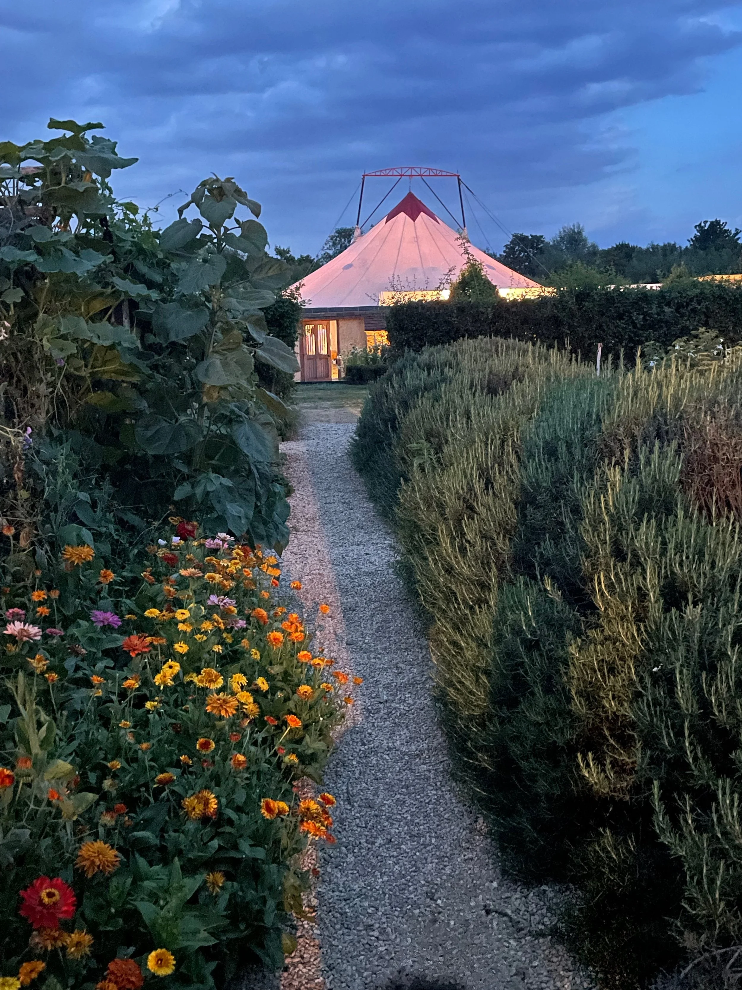 Contact Us — Matthew Rice