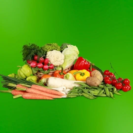 Food Dignity - Edinburgh — Ripple Project