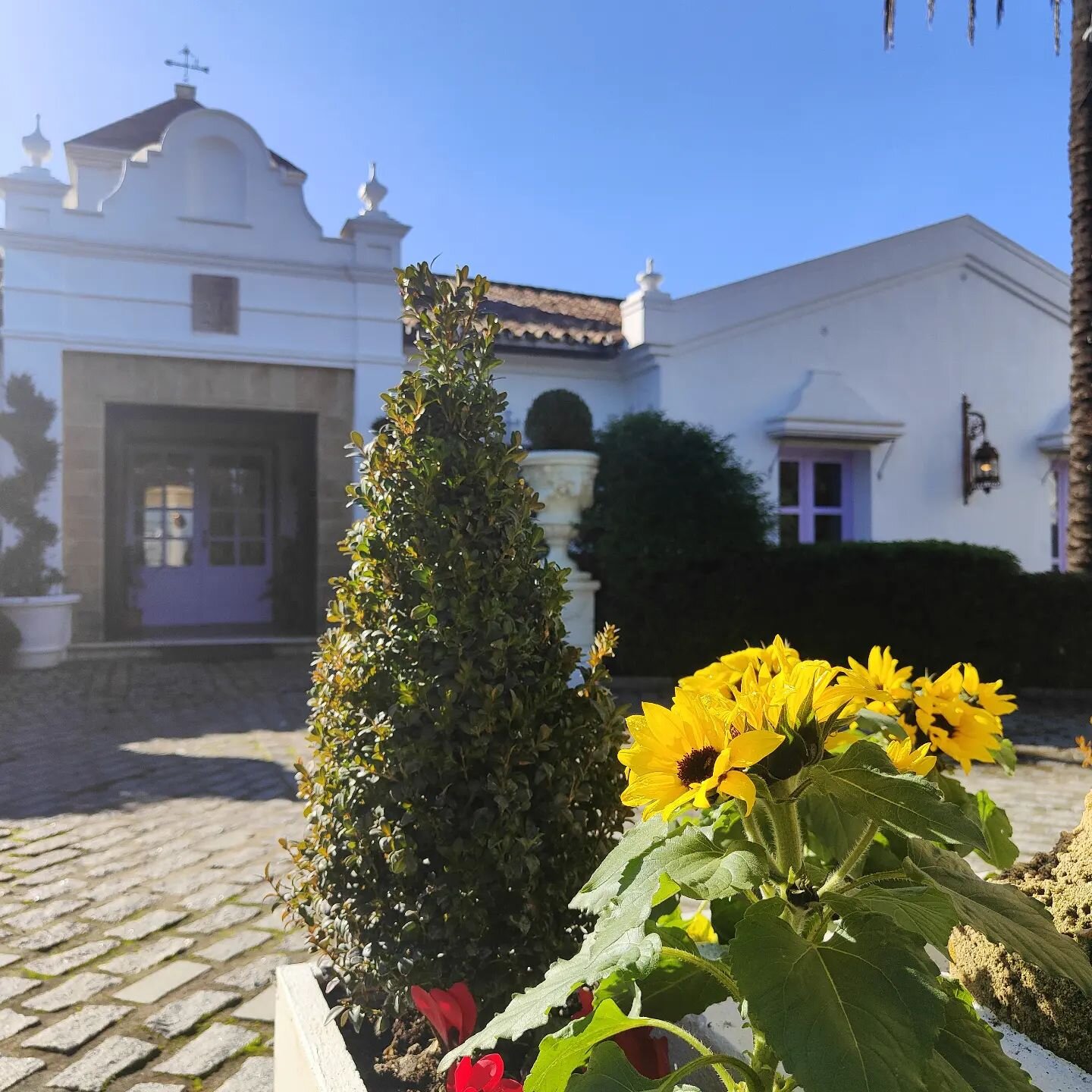 Finca Monasterio