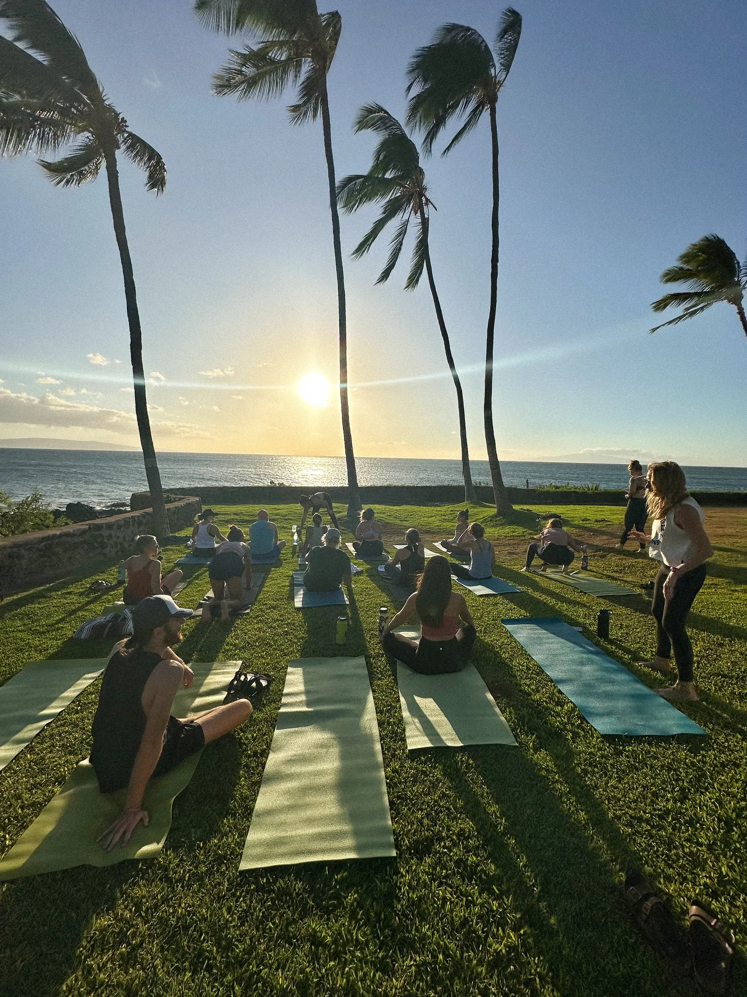 Past Retreats: Maui — THE SPACE, Premier Yoga & Wellness Studio