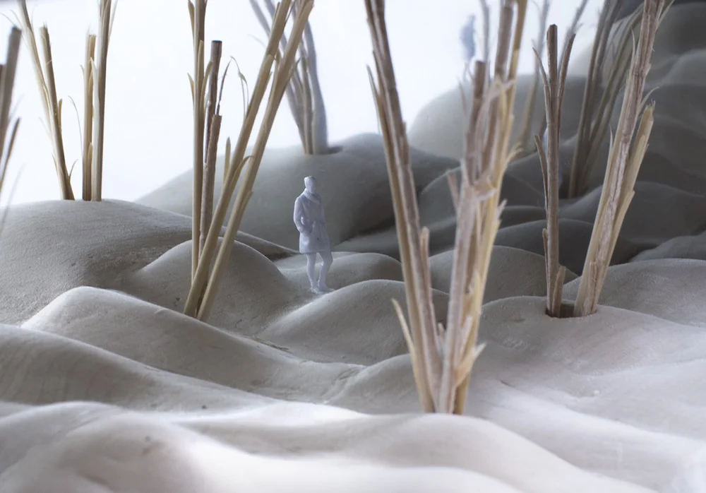 Infnite Landscape — UNISM