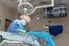 Intervertebral Disc Disease (IVDD) — vetneurochesapeake