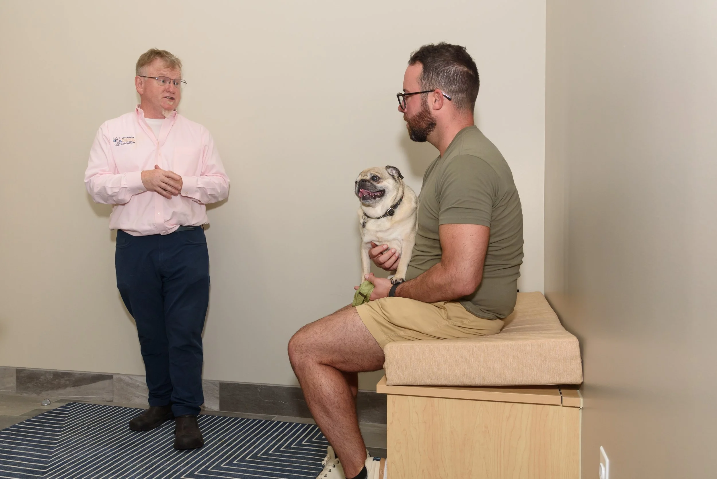 Emergency Care And Support for Sudden Dog Paralysis - VNIoC ...