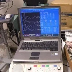 BAER Testing — vetneurochesapeake