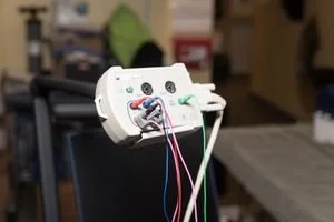 BAER Testing — vetneurochesapeake