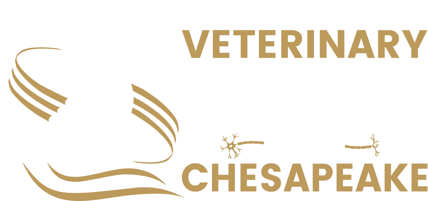 How to Express Your Pet's Bladder — vetneurochesapeake