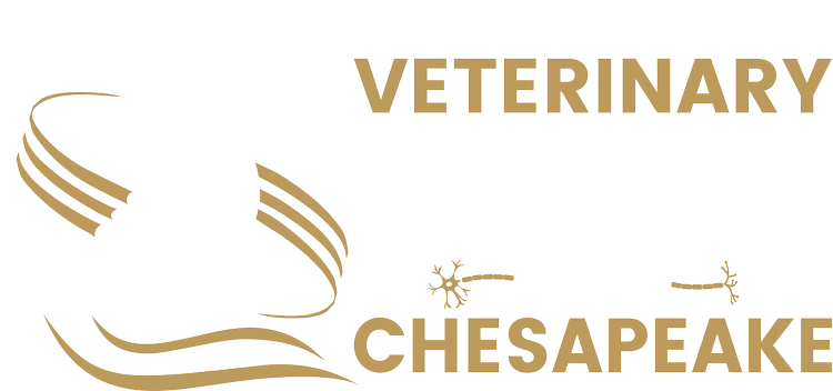 Let’s talk about Frenchies ﻿(aka: brachycephalic anesthesia ...